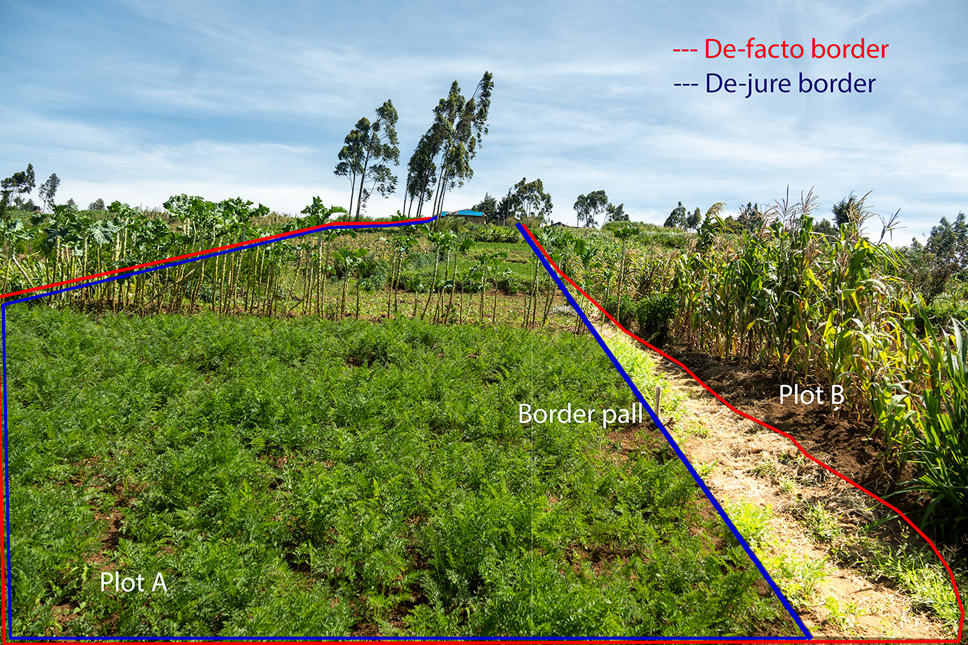Borders dispute - Justice Dashboard